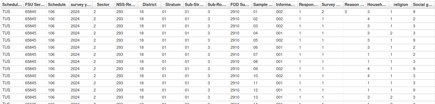 Explainer: National Time Use Survey Data 2024 - OpenCity